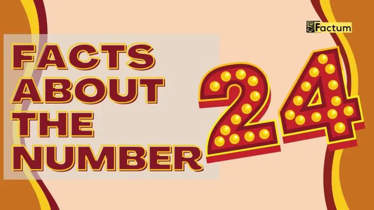 Why is 24 a cool number? – Meaning Of Number